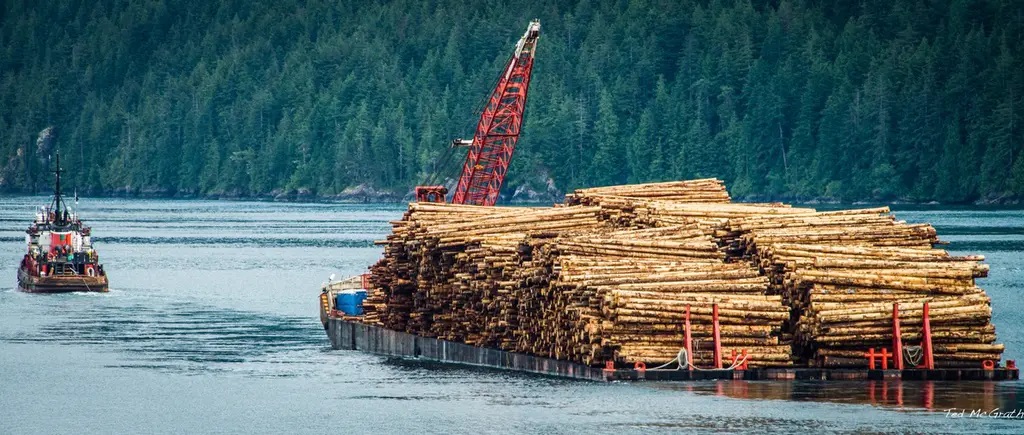 5 Alaska tribes protest groundwork for Tongass logging | Water is Life