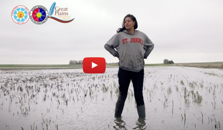 Stop DAPL: Call To Action | Water is Life